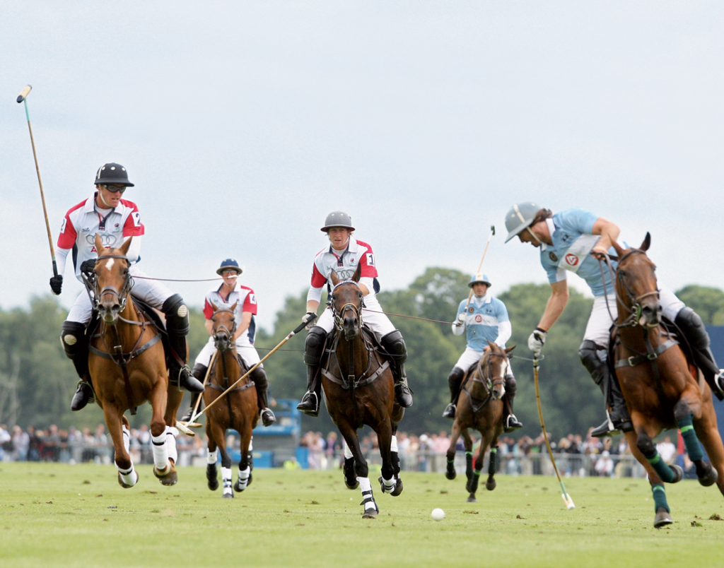 What is A Polo Shirt? What are the Best Polo Shirts to Sell